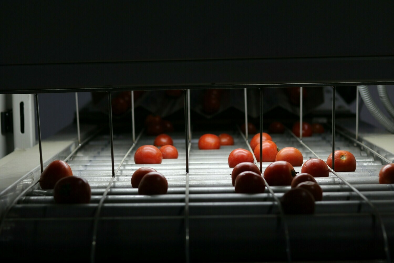 Intello Labs – an Unreasonable company