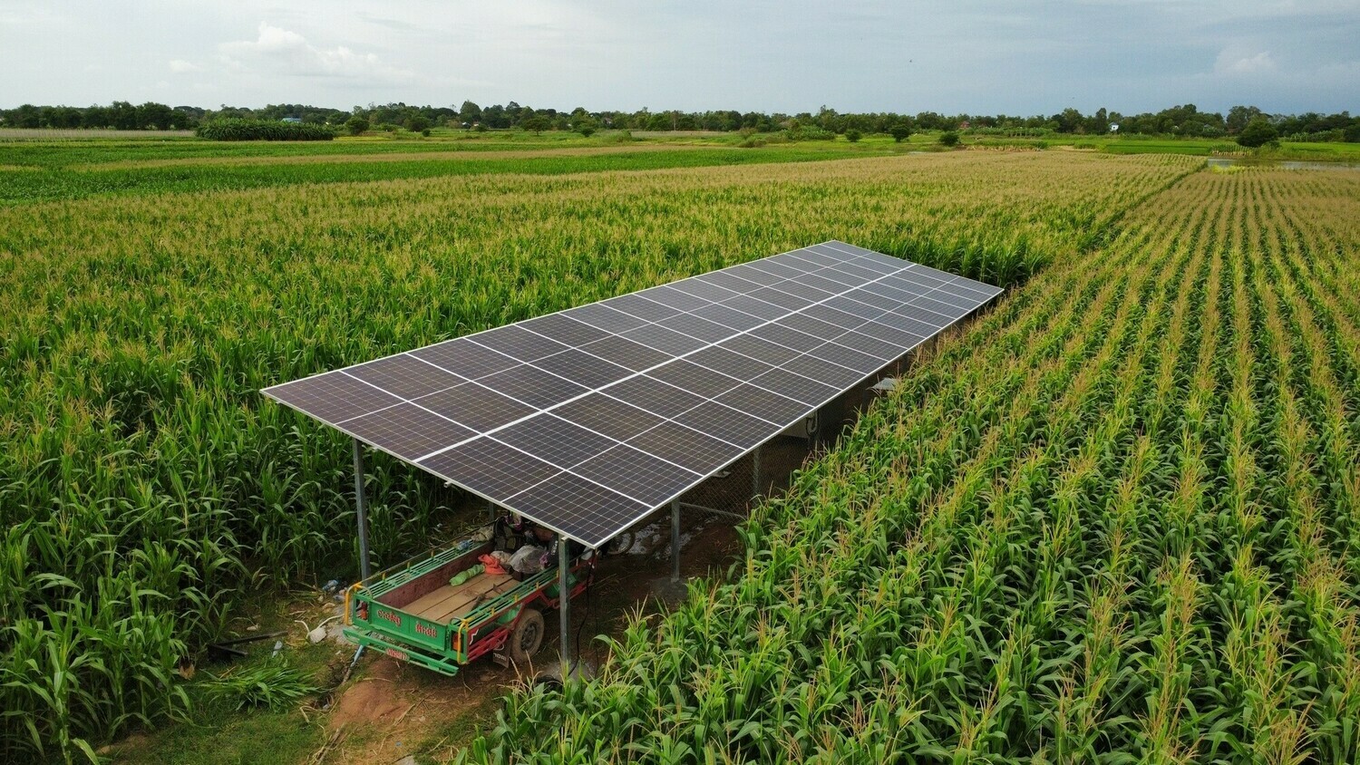 SOGO Energy – an Unreasonable company